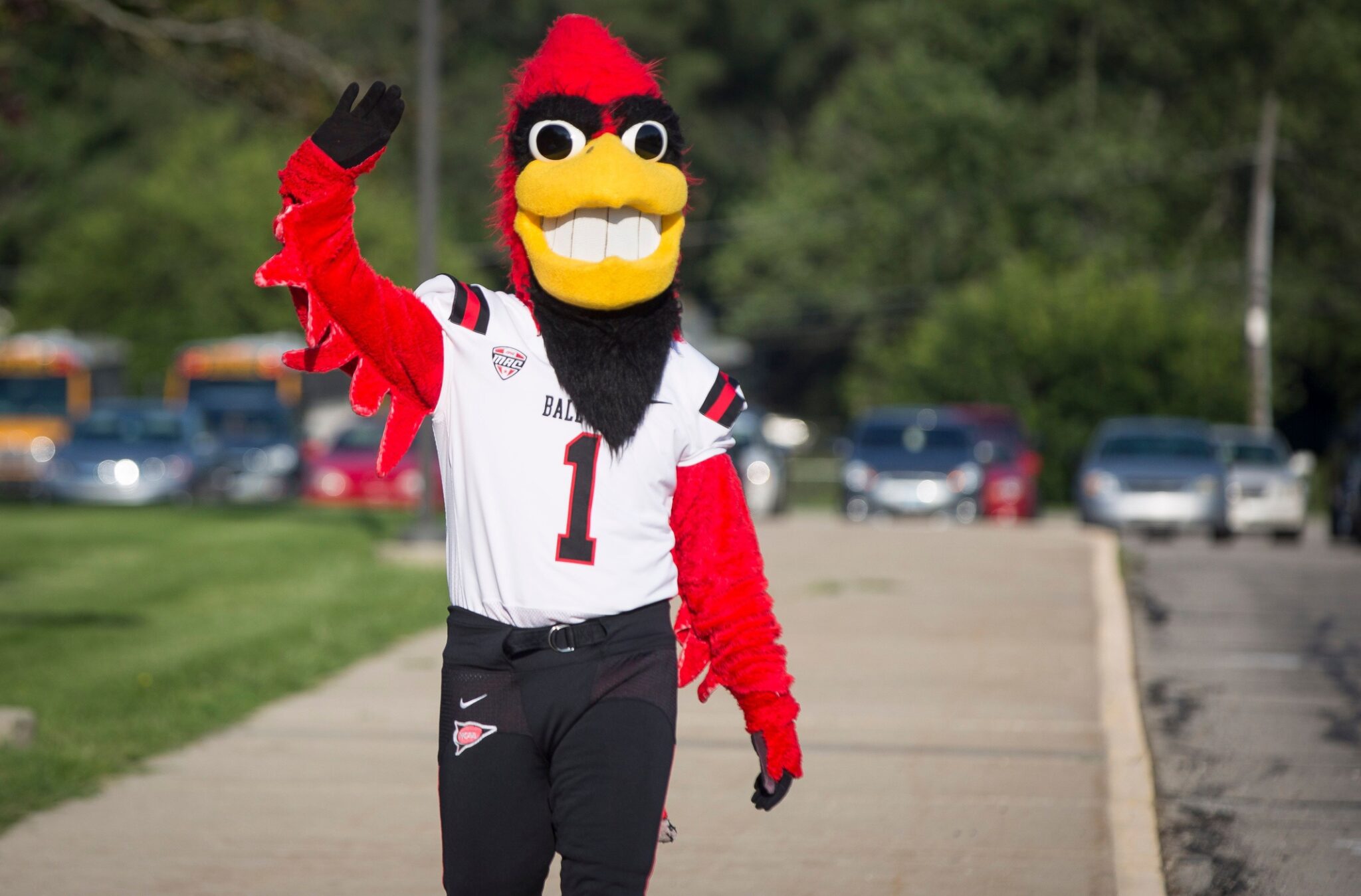 History of the Ball State Cardinals Mascot | College Sports Network