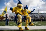 History of the Delaware Fightin’ Blue Hens Mascot | College Sports Network