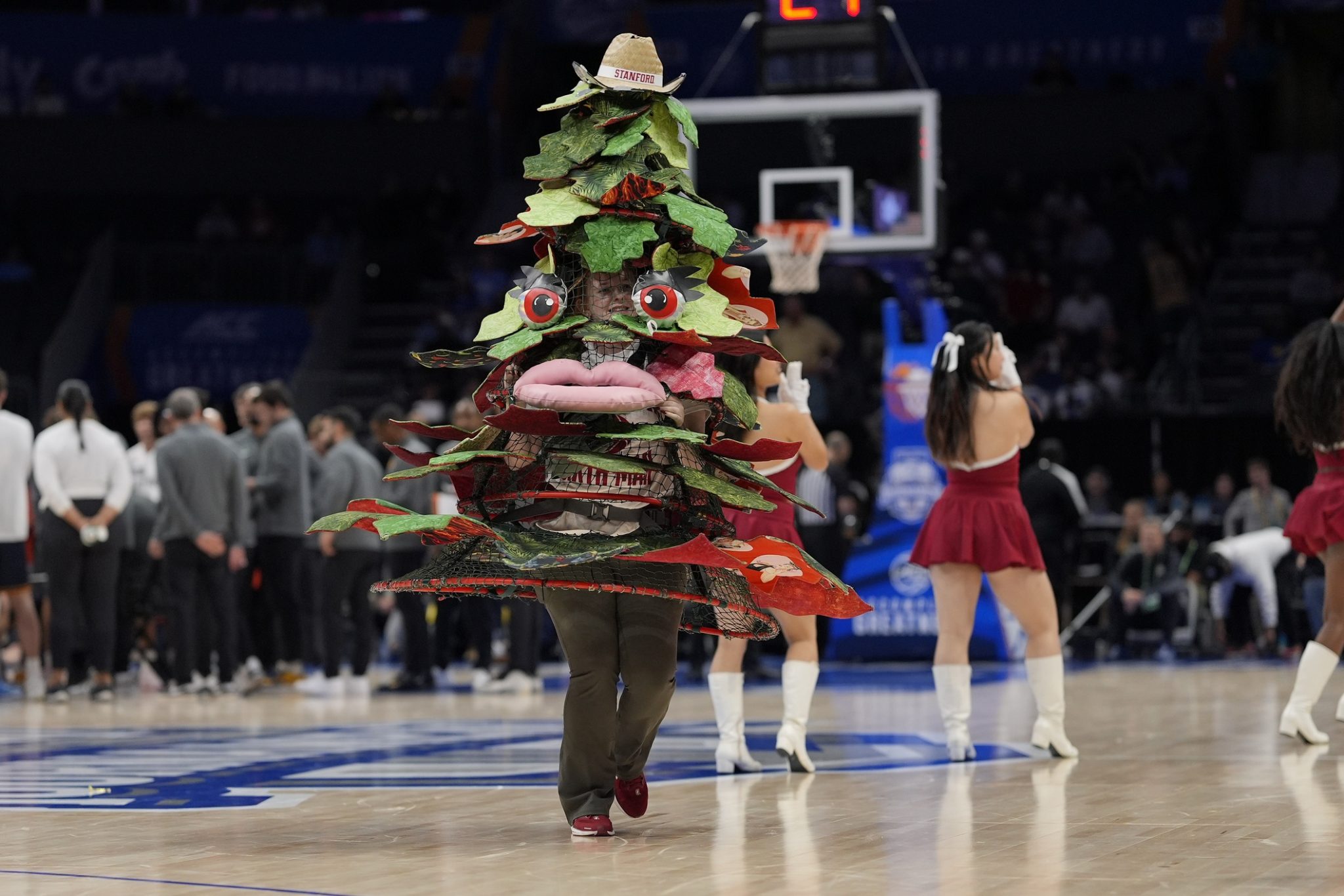 History of the Stanford Cardinal Mascot | College Sports Network