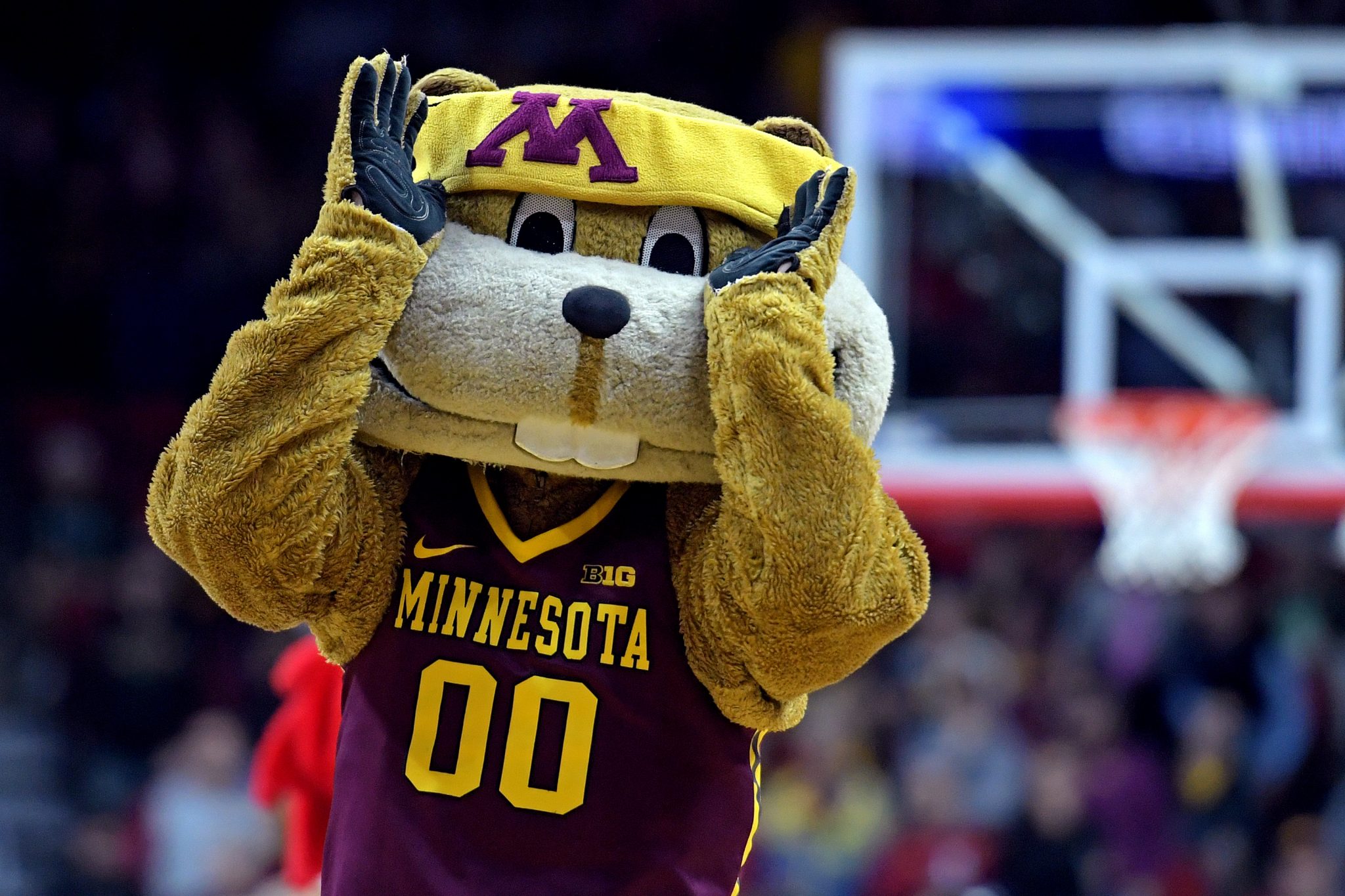 History of the Minnesota Golden Gophers Mascot | College Sports Network