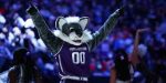 History of the Northwestern Wildcats Mascot | College Sports Network