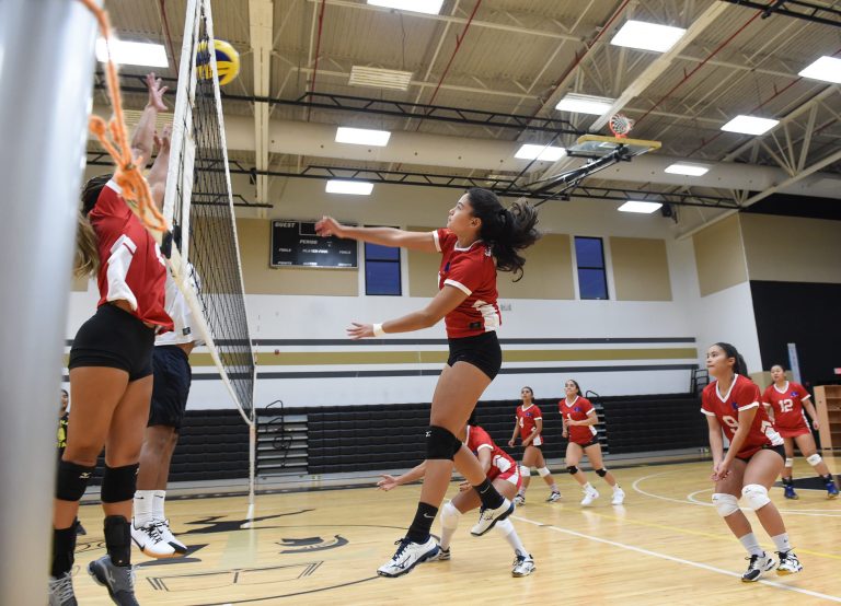 Ex-SJSU Volleyball Star Details Experience Of Sharing Bed With Trans ...