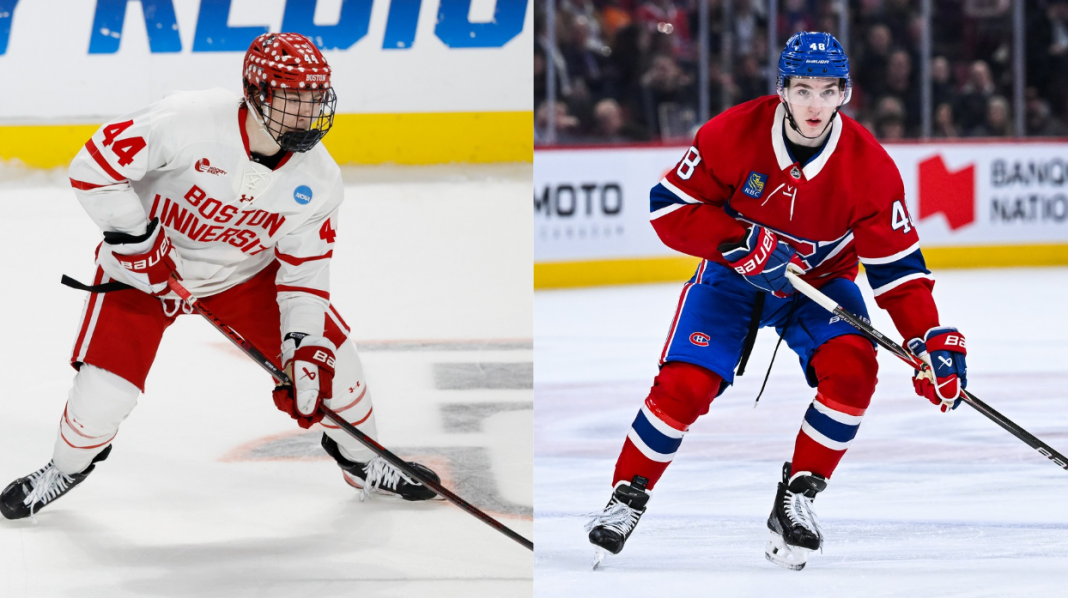 Is Cole Hutson Related to Lane Hutson? All We Know About Capitals’ New ...