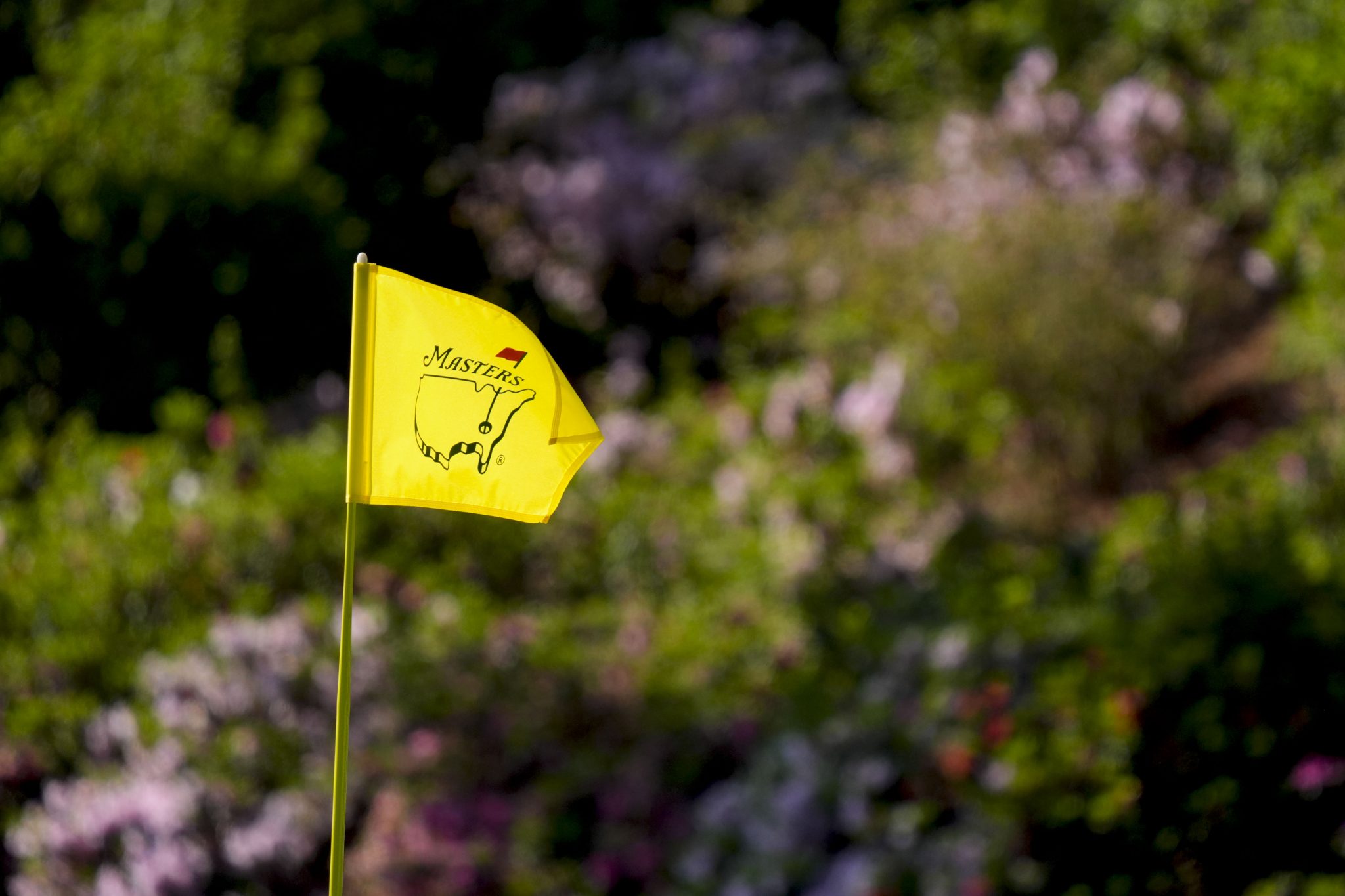 What Does the Taste of the Masters 2026 Standard Kit Include? Exploring ...