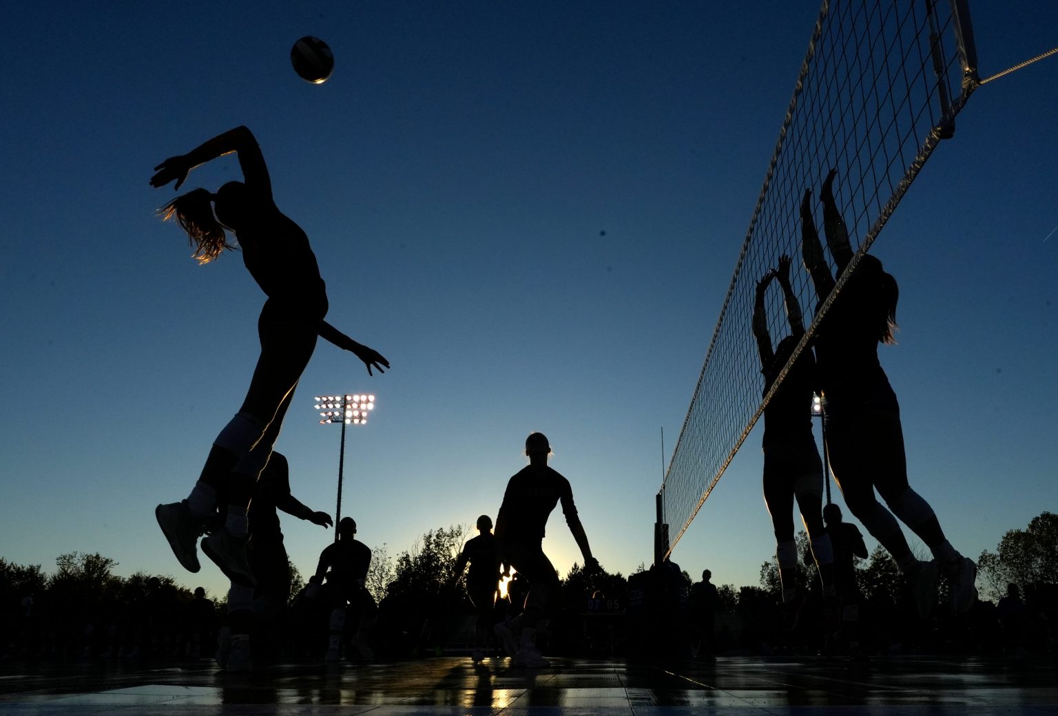 "Invasive Biological Testing" - USA Volleyball Women’s National Team ...
